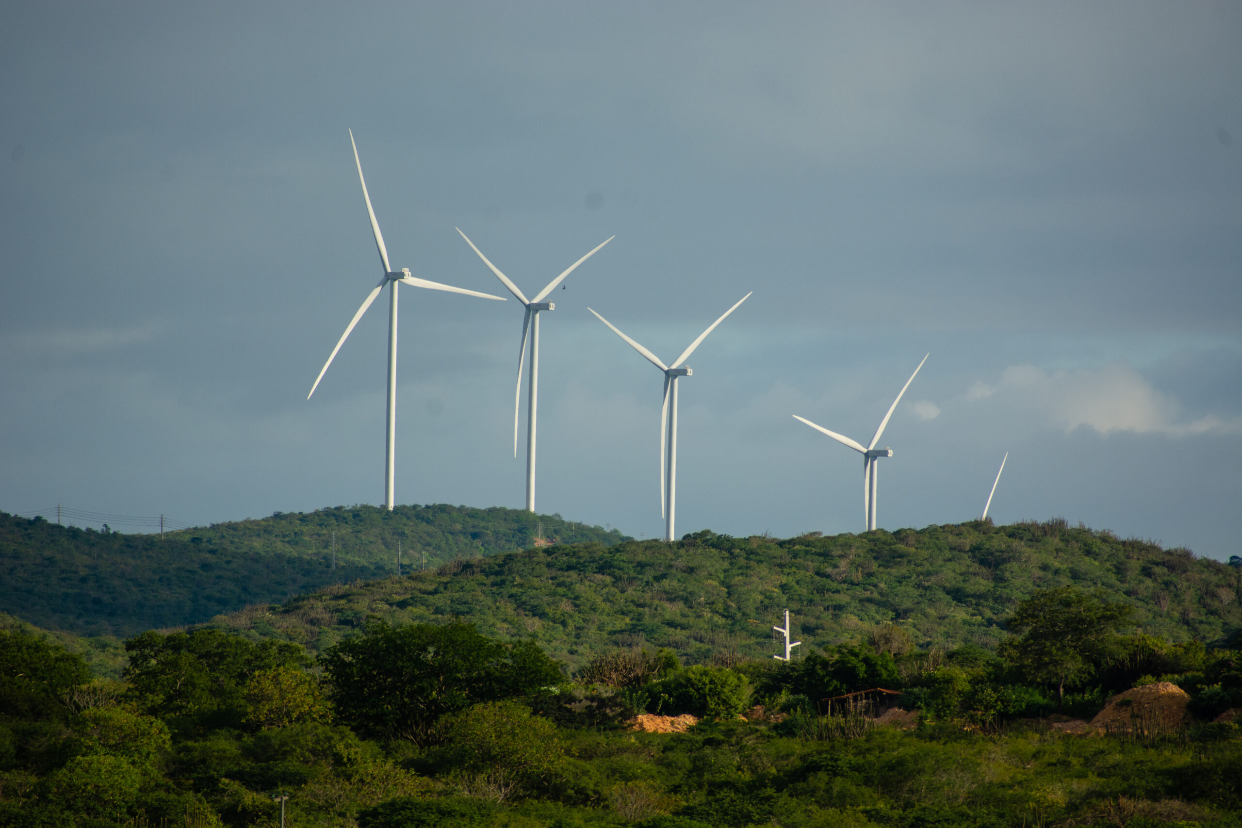 Le groupe EDF met en service son plus grand parc éolien d’Amérique du ...